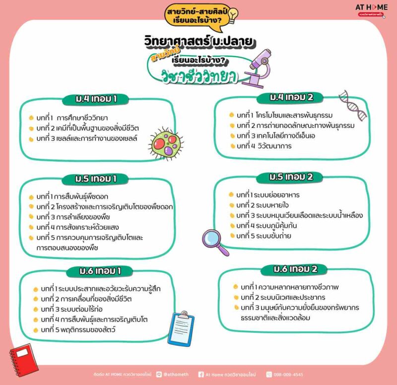 สายวิทย์คณิต VS สายศิลป์ ต่างกันตรงไหน l ATHOMETH.COM